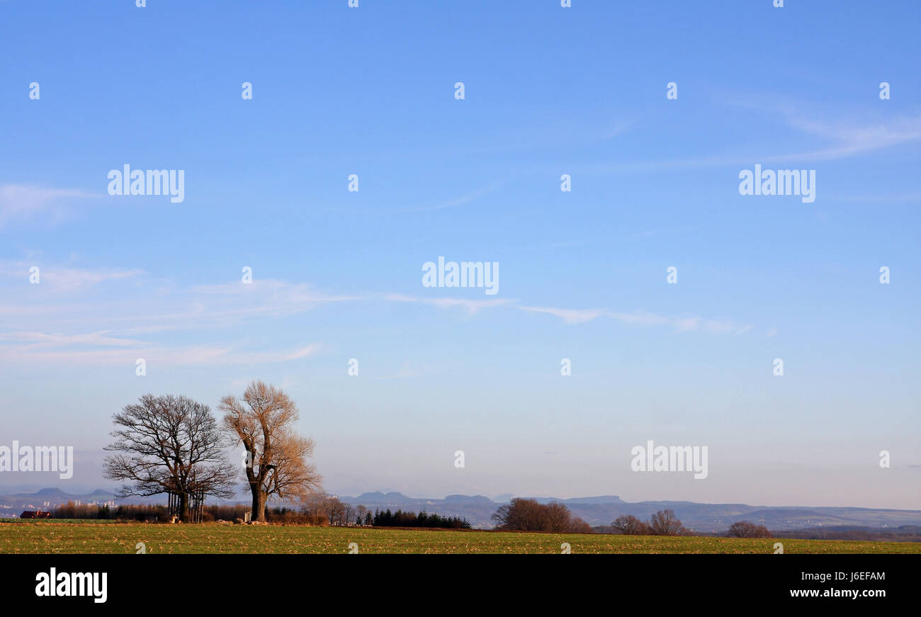 Oak level hi-res stock photography and images - Alamy