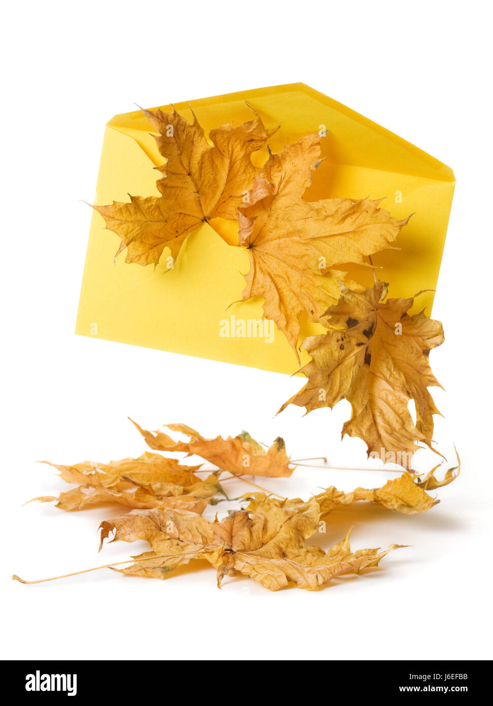 communication letter mail envelope post yellow fall autumn macro close ...