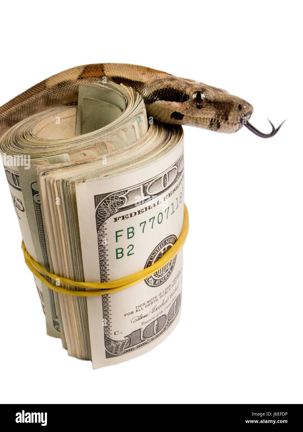 bank lending institution danger dollar dollars american currency animal ...