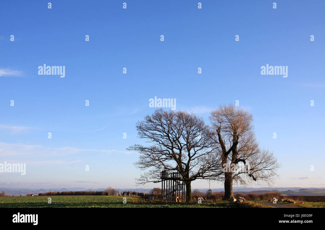 tree trees oak look-out sight view outlook perspective vista panorama ...