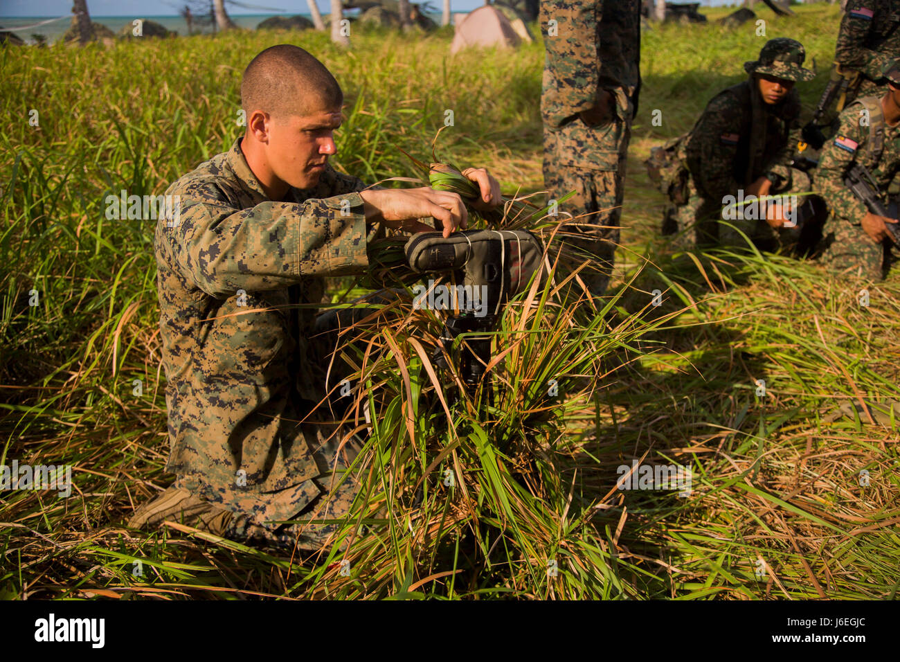 Us marine corps scout sniper hi-res stock photography and images - Alamy