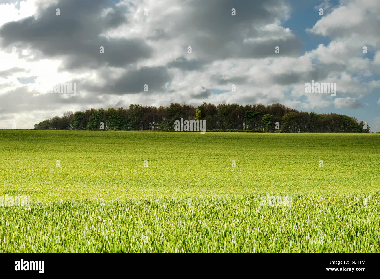 Landscvape hi-res stock photography and images - Alamy
