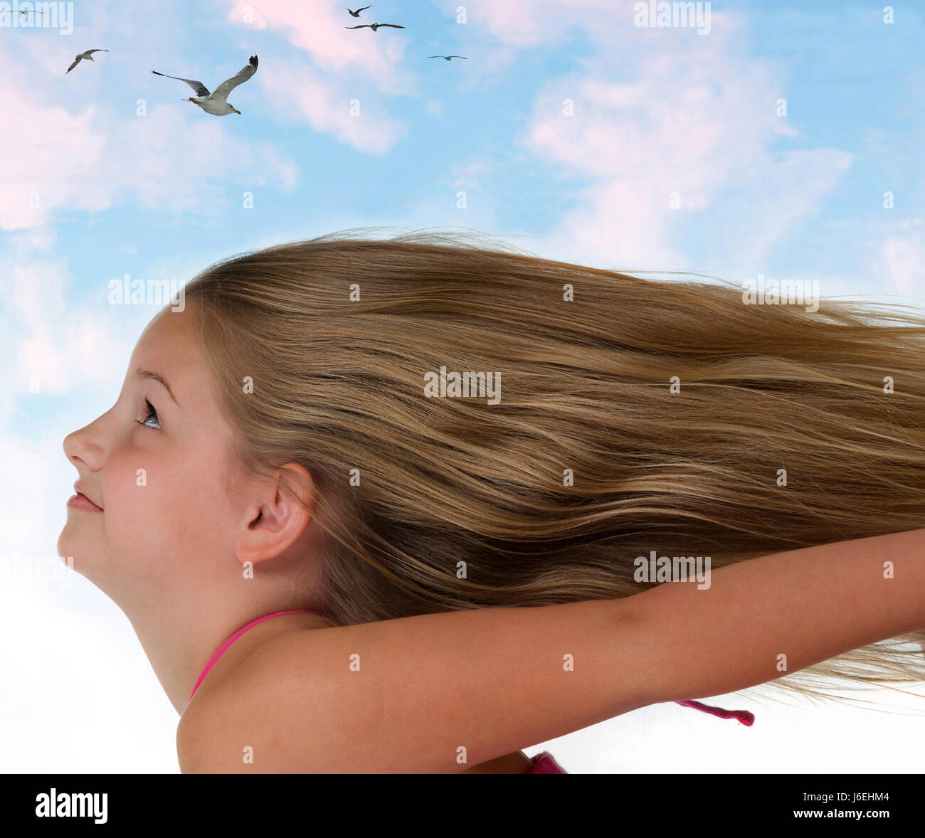 flight bird hairdo kid firmament sky child hair fly flies flys flying ...