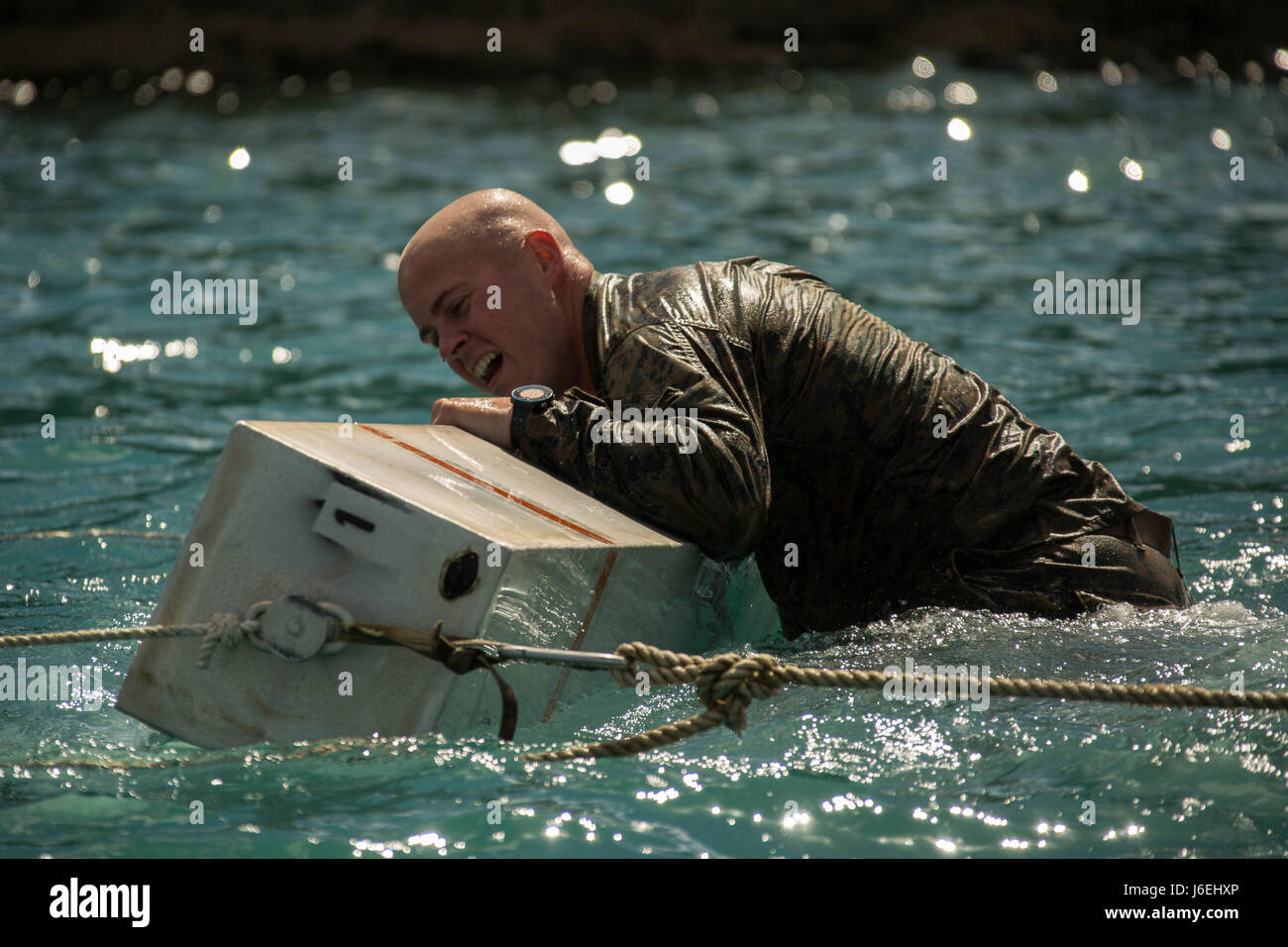 U.S. Marine Corps and French Armed Forces infantry units participate in ...