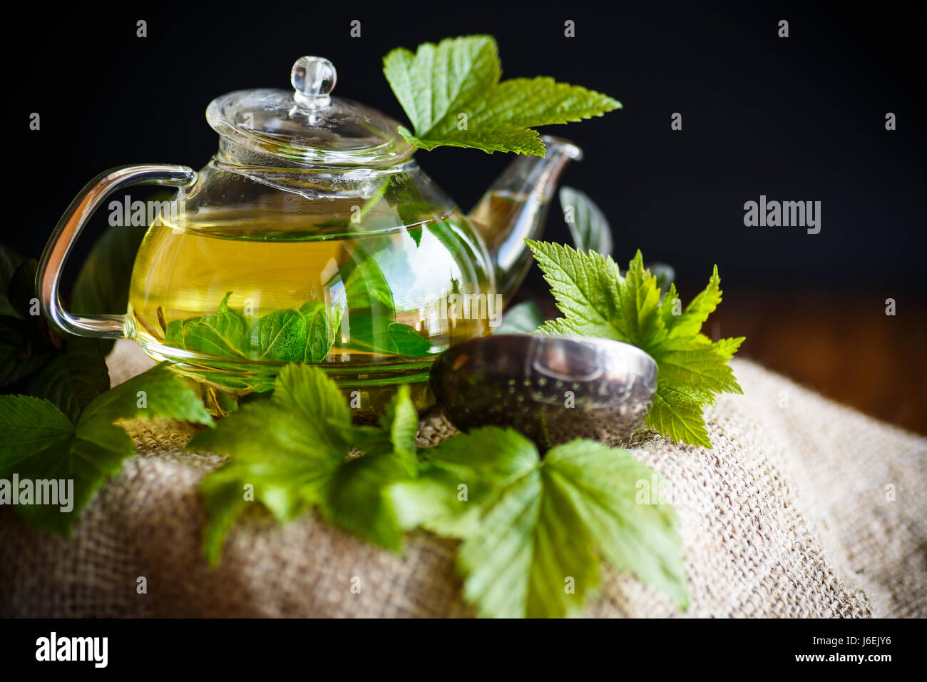 tea with currant leaves Stock Photo - Alamy