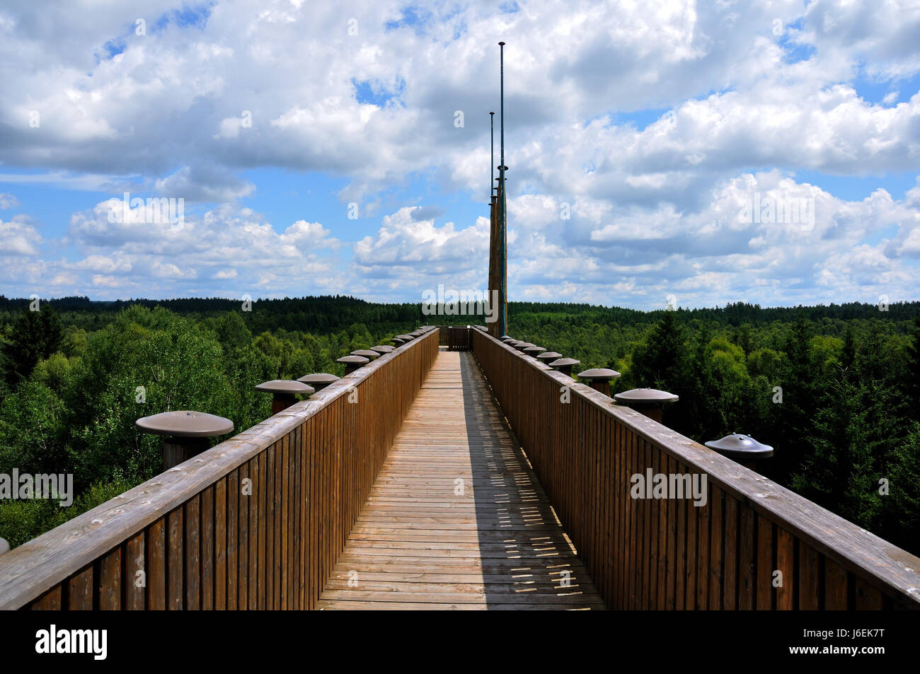 green wood platform forest-quarter forest austrians lower austria ...