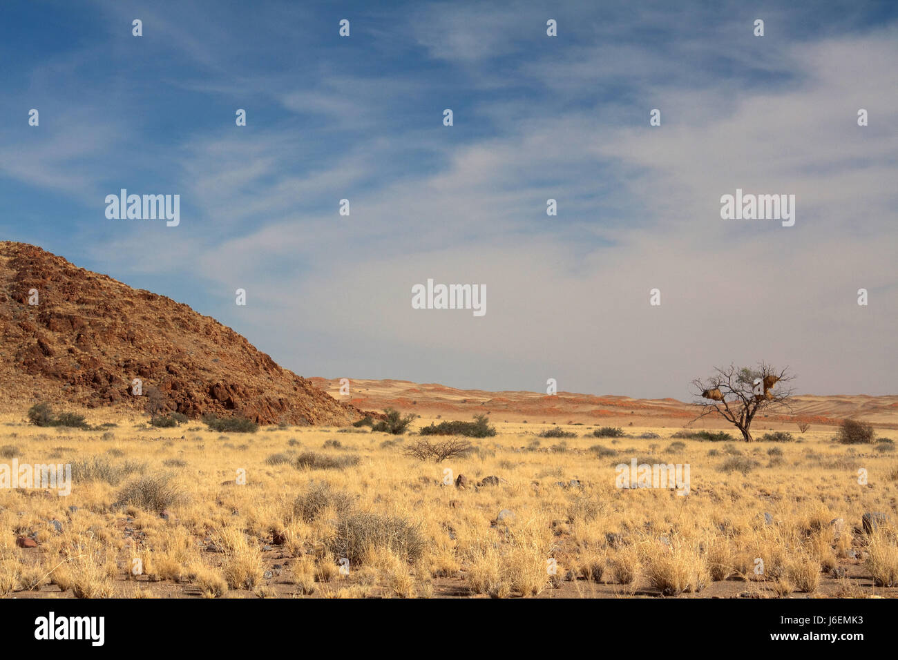 landscape in namibia Stock Photo - Alamy