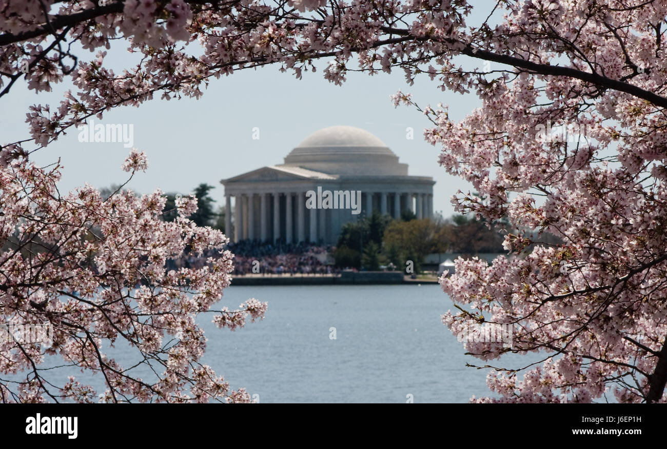 monument memorial bloom blossom flourish flourishing reflection usa ...