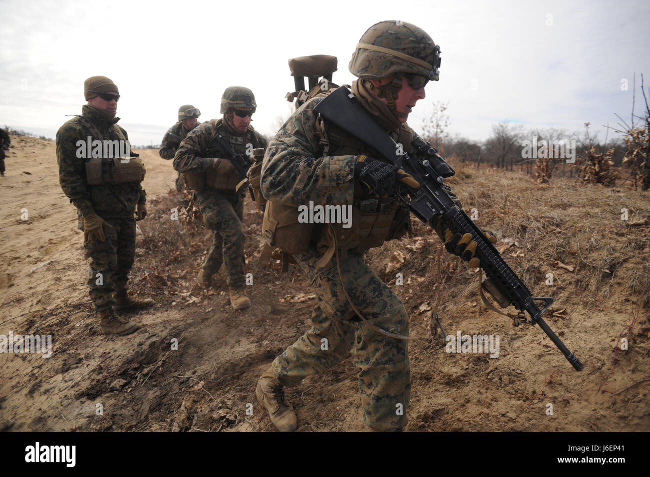 U.S. Marines from Fox Company, 2nd Battalion, 24th Marines, 23rd Marine ...