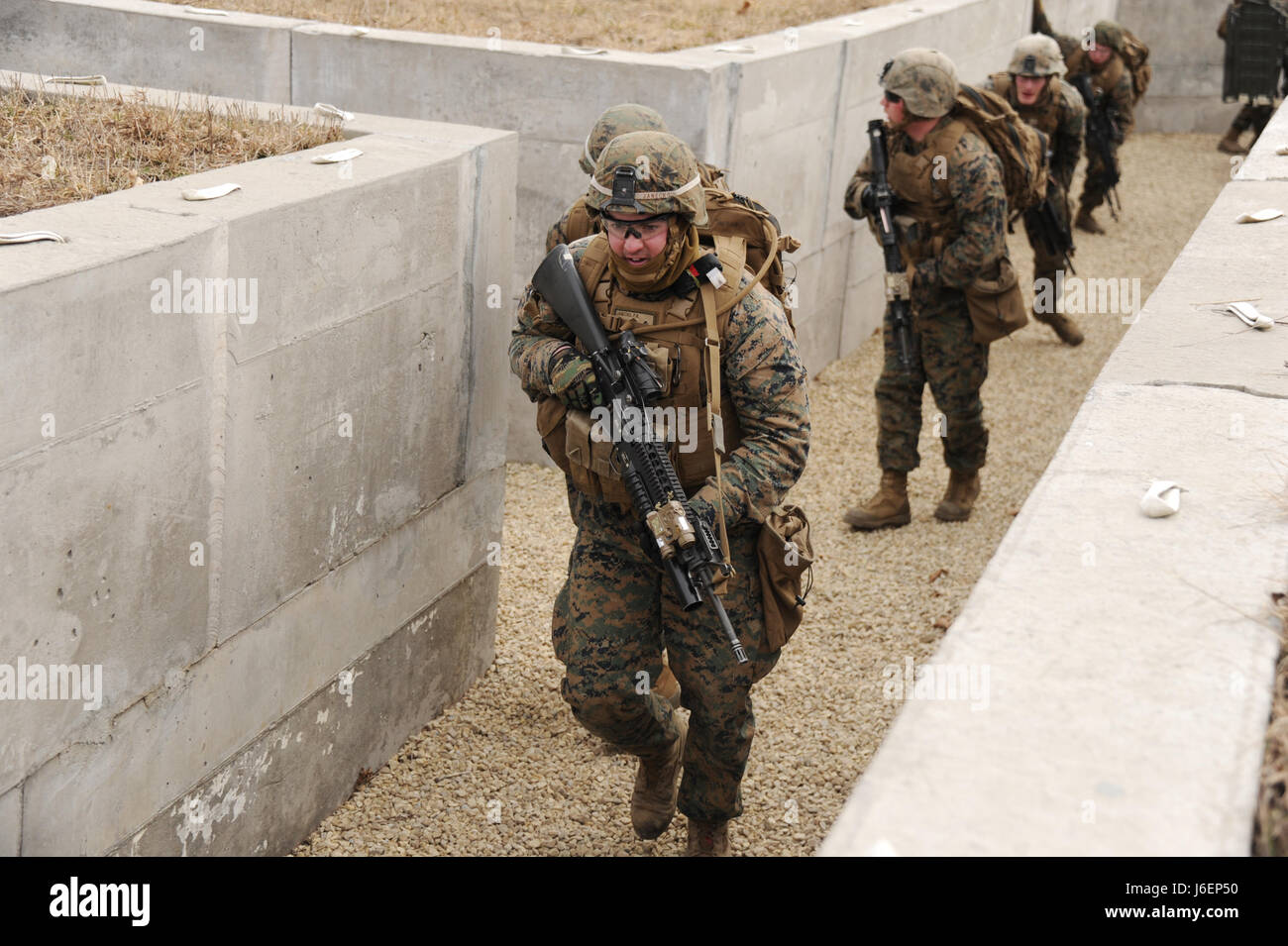 U.S. Marines with Fox Company, 2nd Battalion, 24th Marines of the 23rd ...