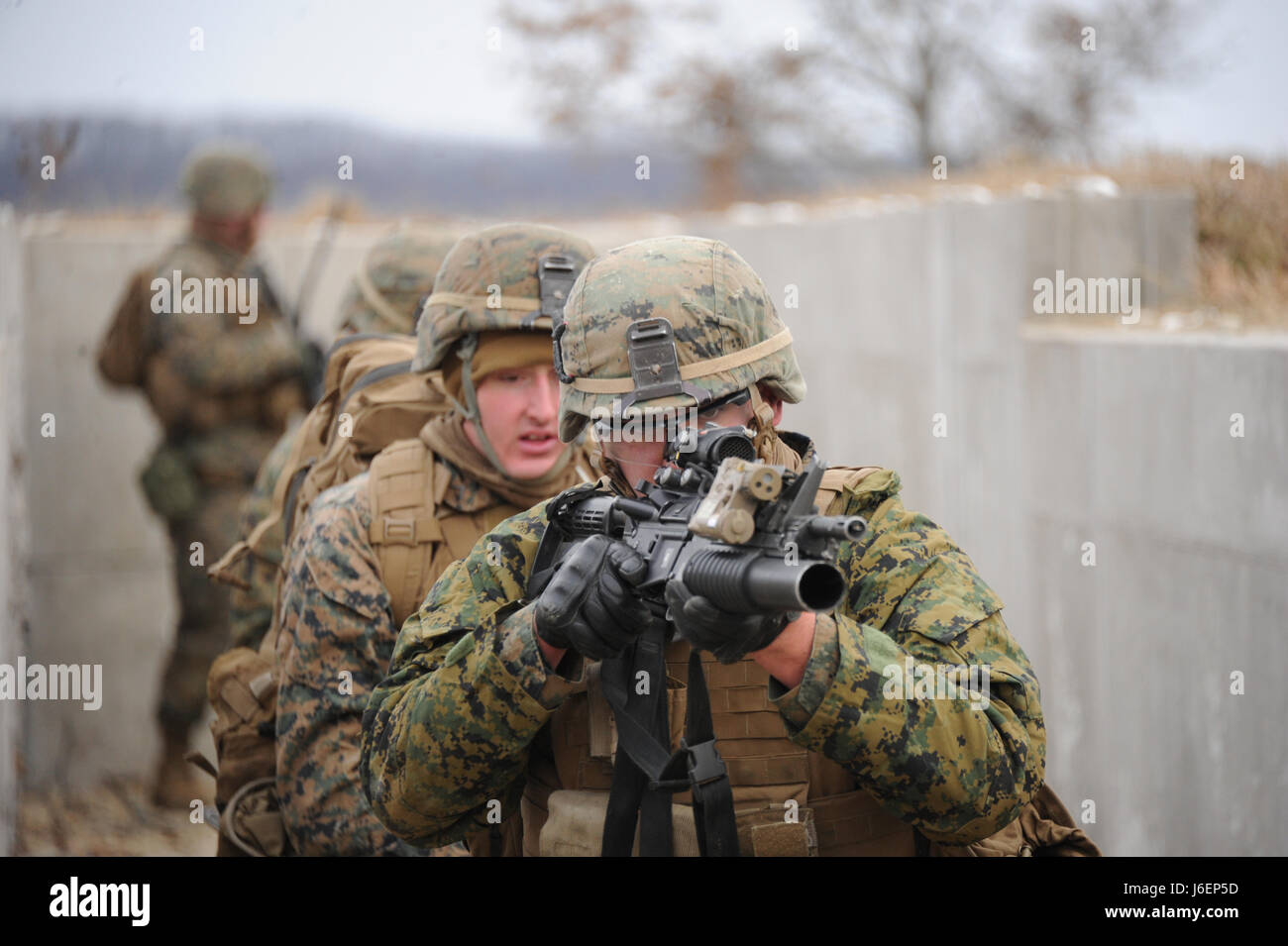 U.S. Marines with Fox Company, 2nd Battalion, 24th Marines of the 23rd ...
