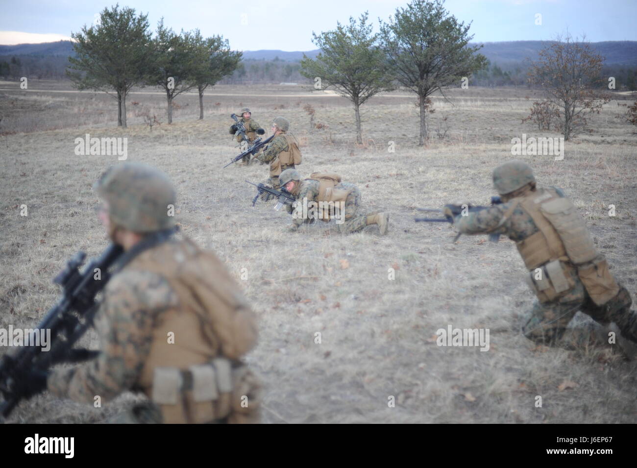 U.S. Marines with Fox Company, 2nd Battalion, 24th Marines of the 23rd ...
