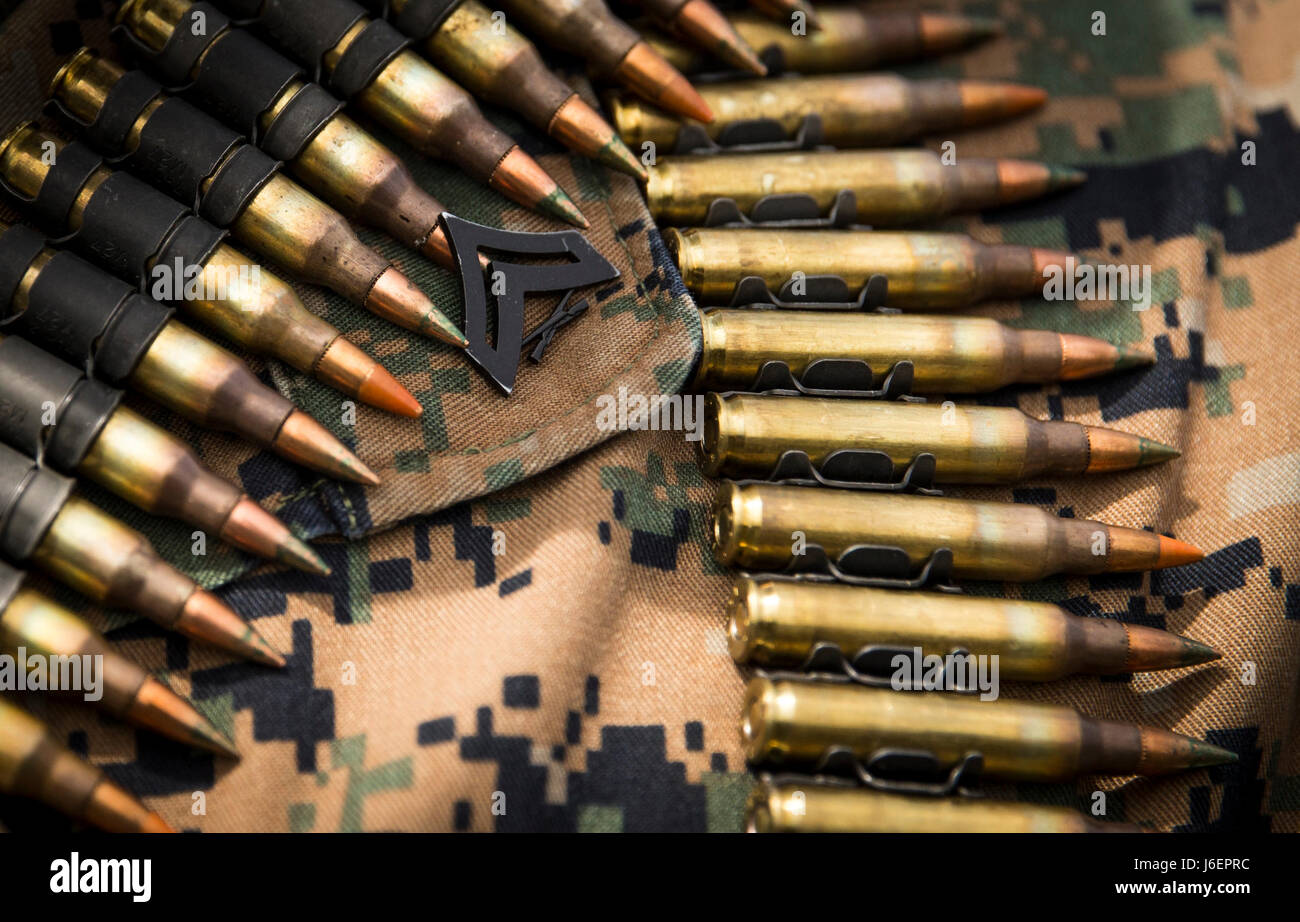 Rounds for the M27 Infantry Automatic Rifle are worn by a Marine during ...