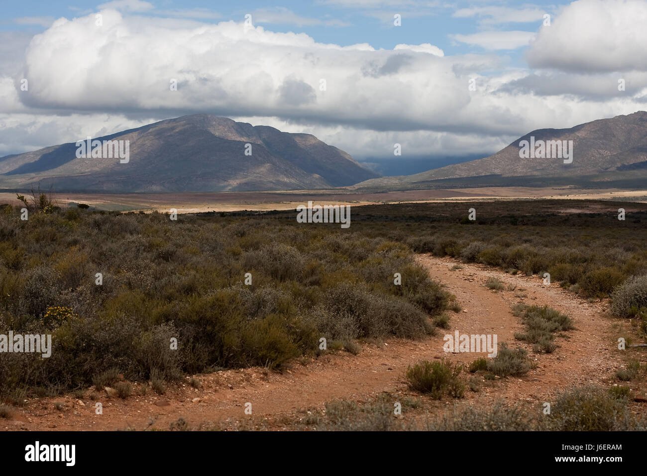 africa bush south africa path way africa bush south africa path way ...