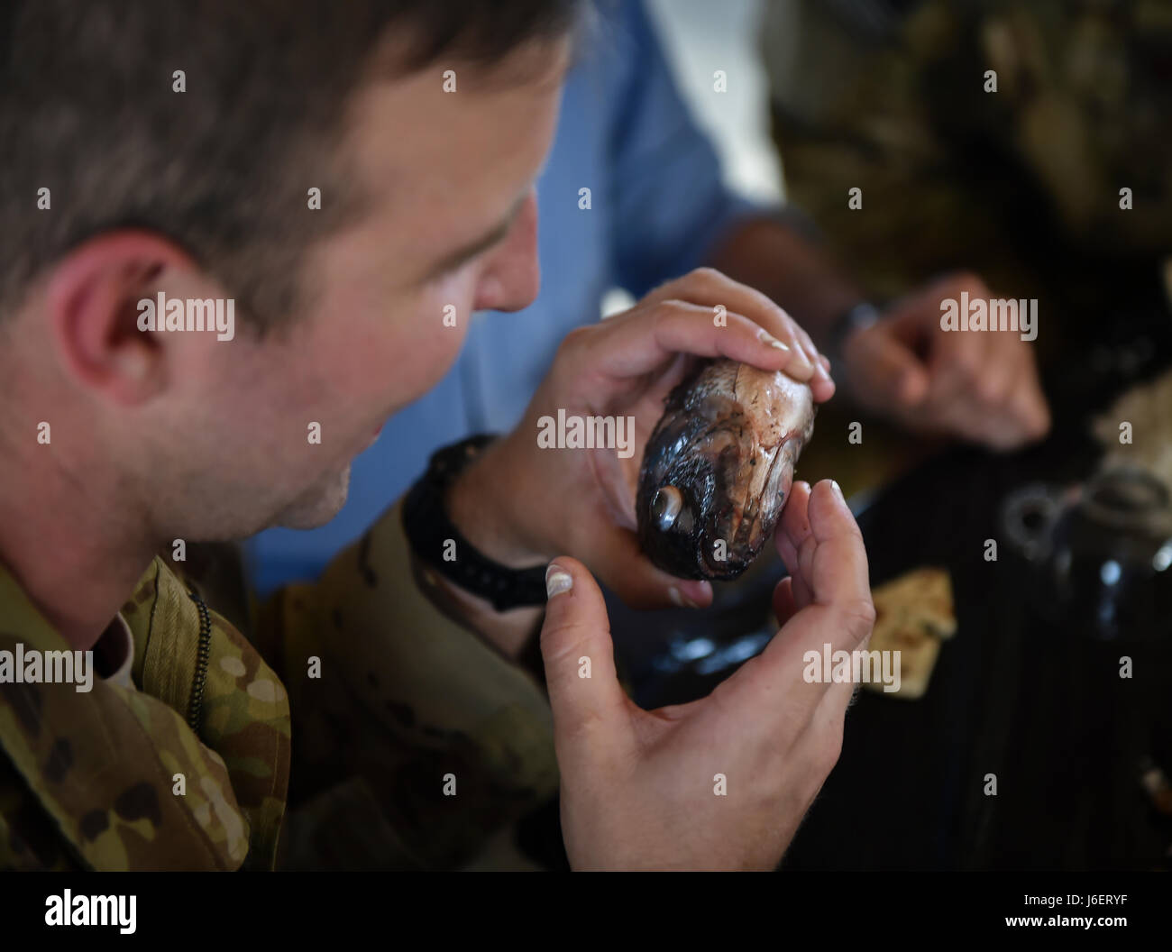 Capt. Ian Hocking, a combat aviation advisor student with the 6th ...
