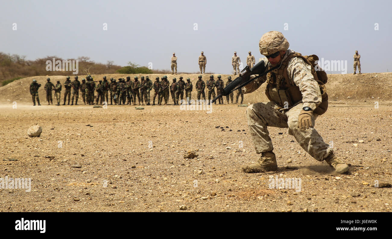 Marines from SPMAGTF-CR-AF train Senegalese forces in buddy rushing ...