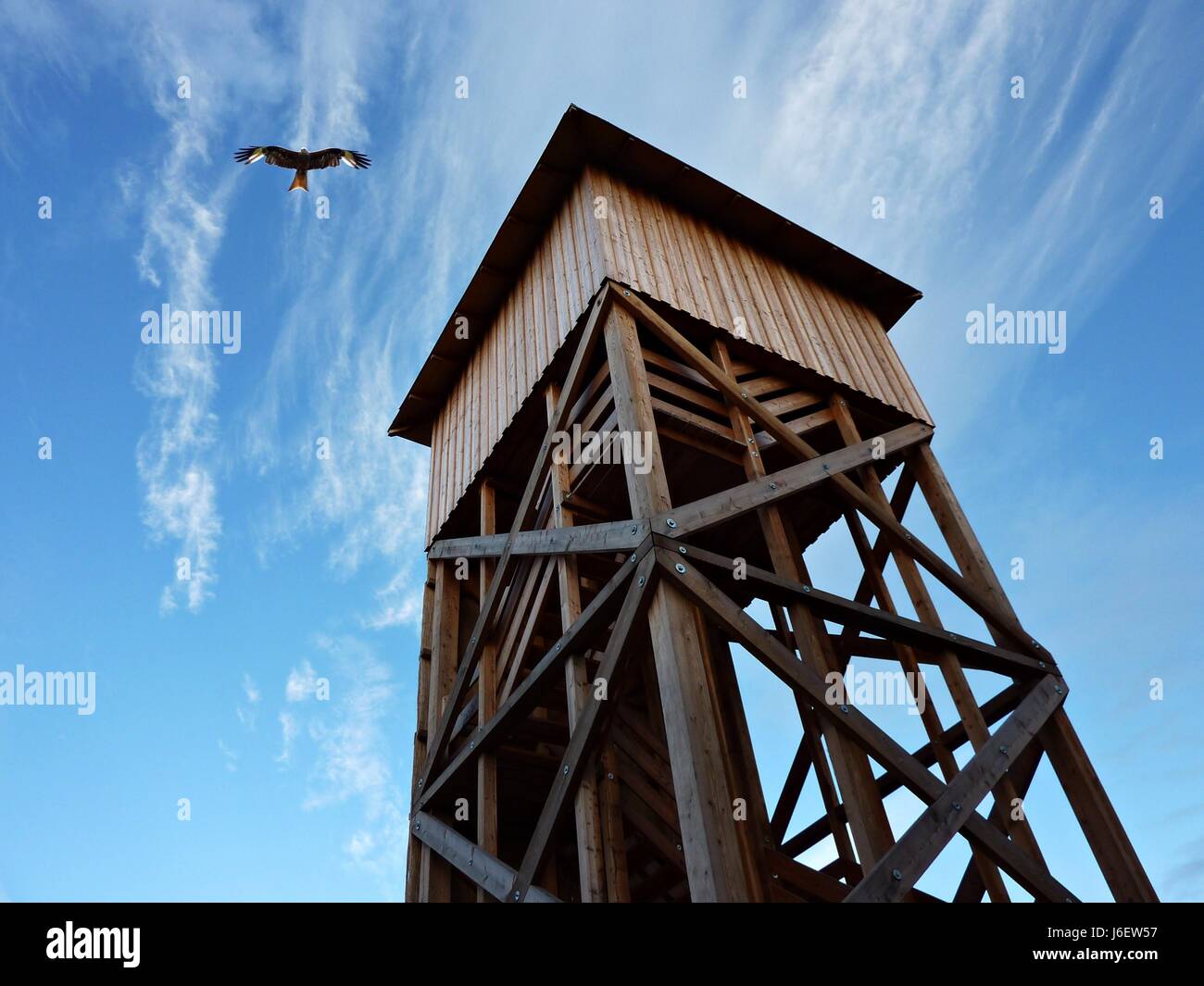 station birds of prey raptor deerstand tower wood birds of prey raptor ...