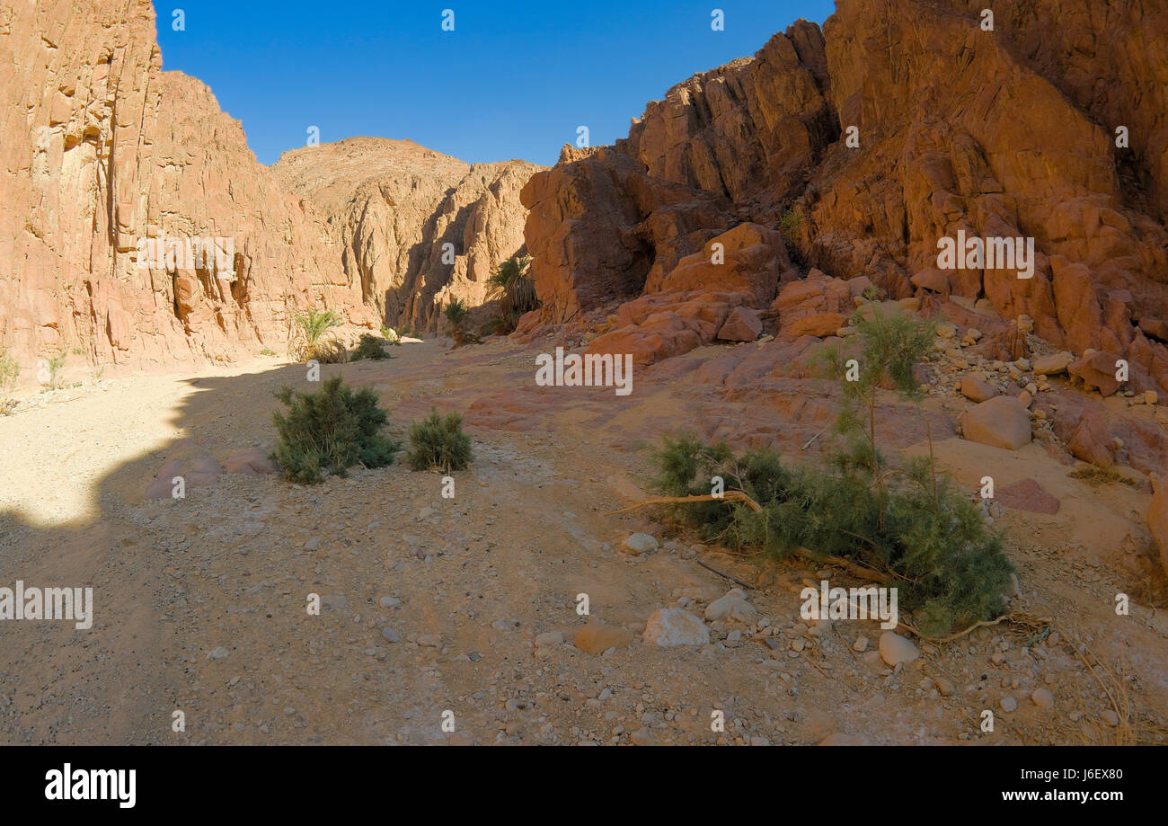 desert wasteland africa egypt Canyon wadi stones desert wasteland ...