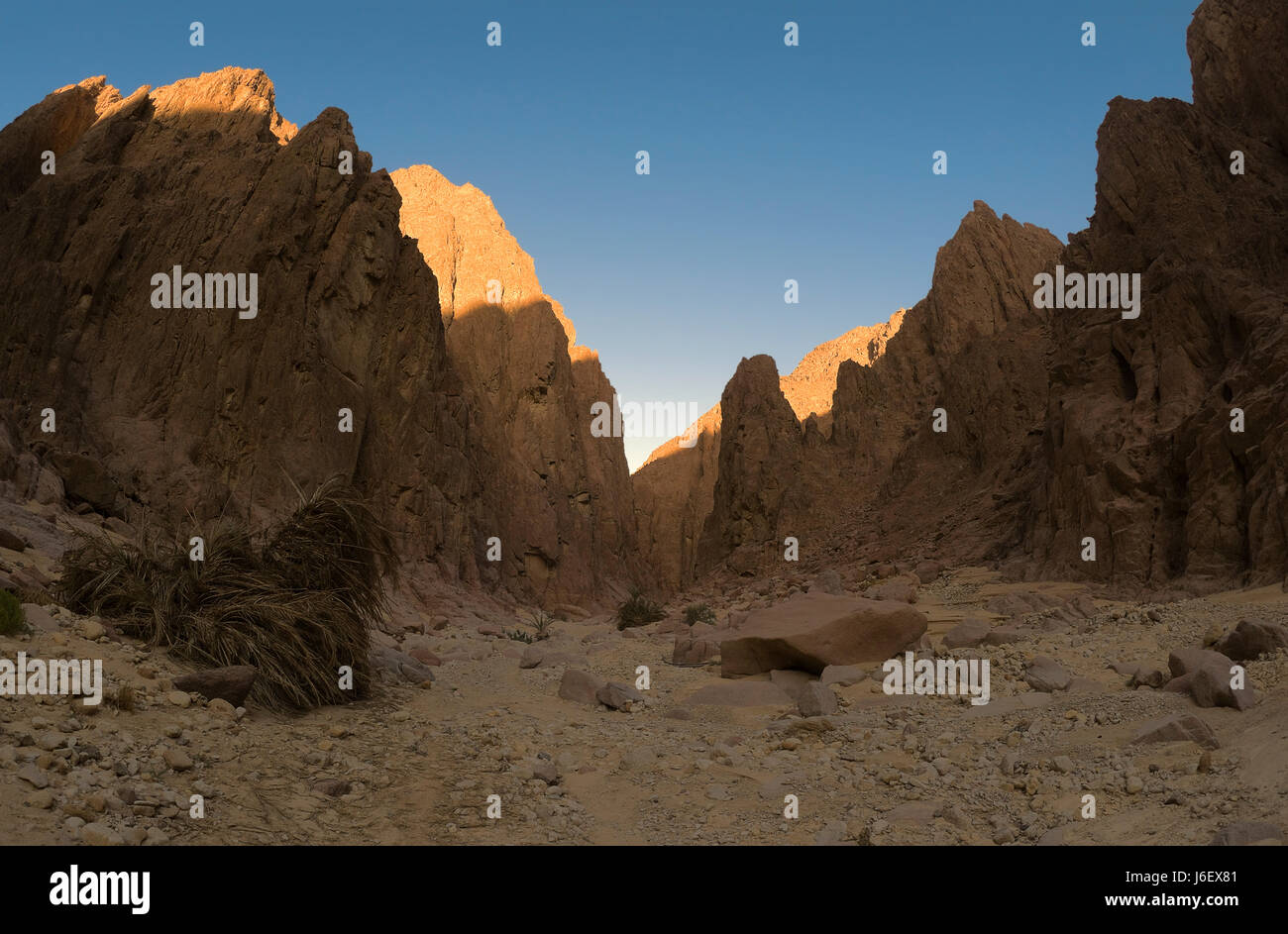 desert wasteland africa egypt Canyon wadi stones desert wasteland ...