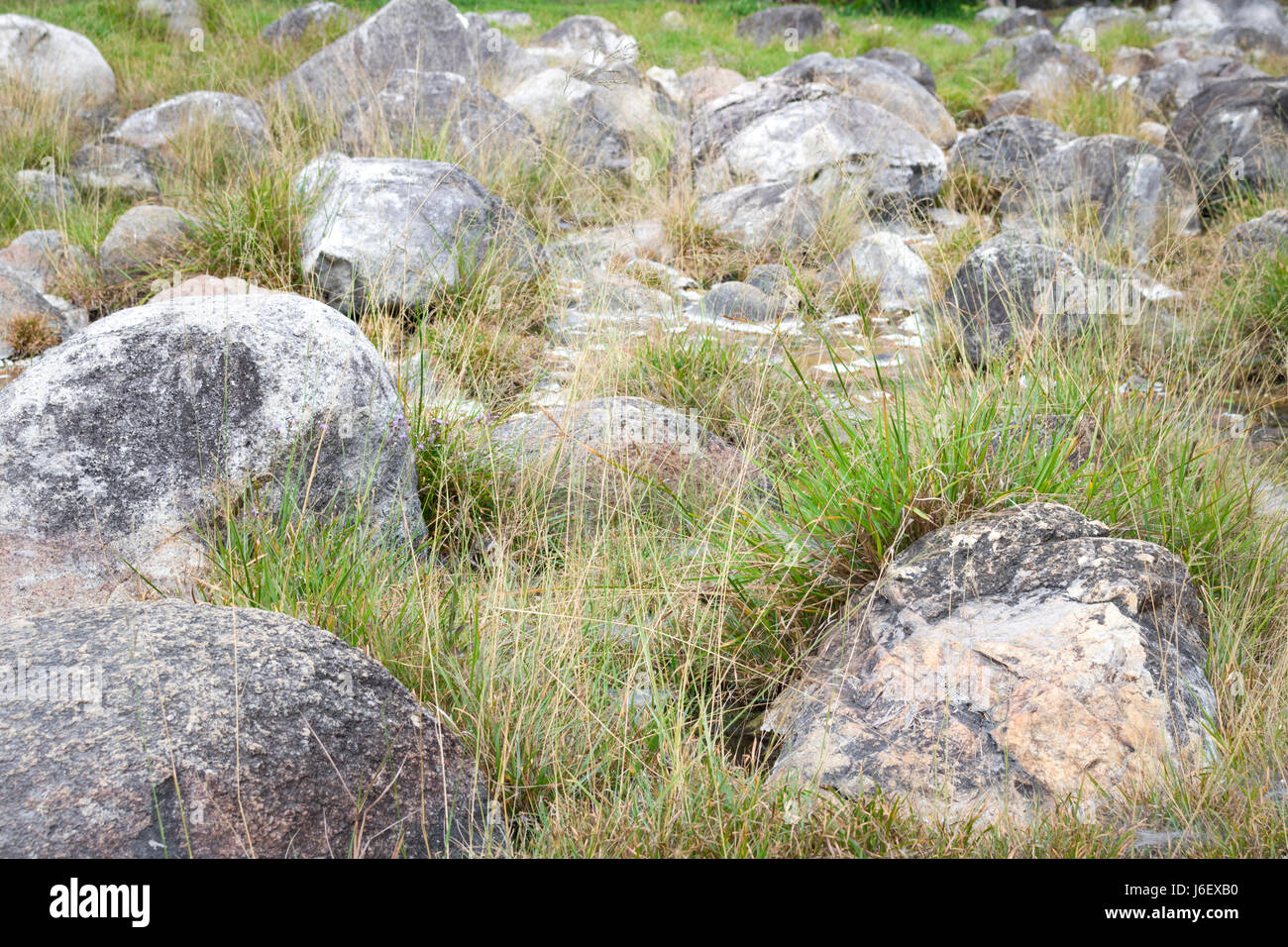 Rock and grass in field background Stock Photo - Alamy