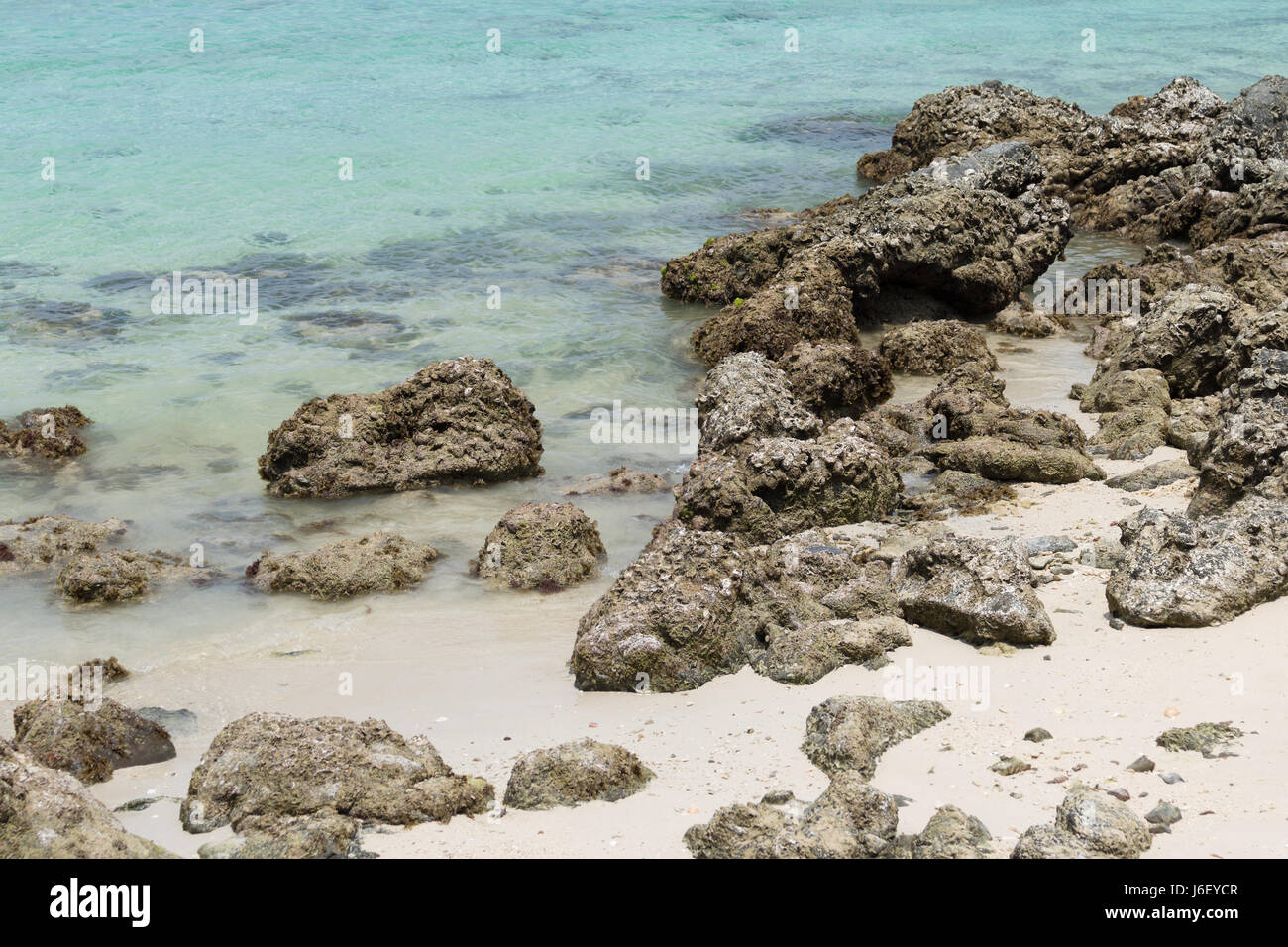 Rock on the beach with sea Stock Photo - Alamy