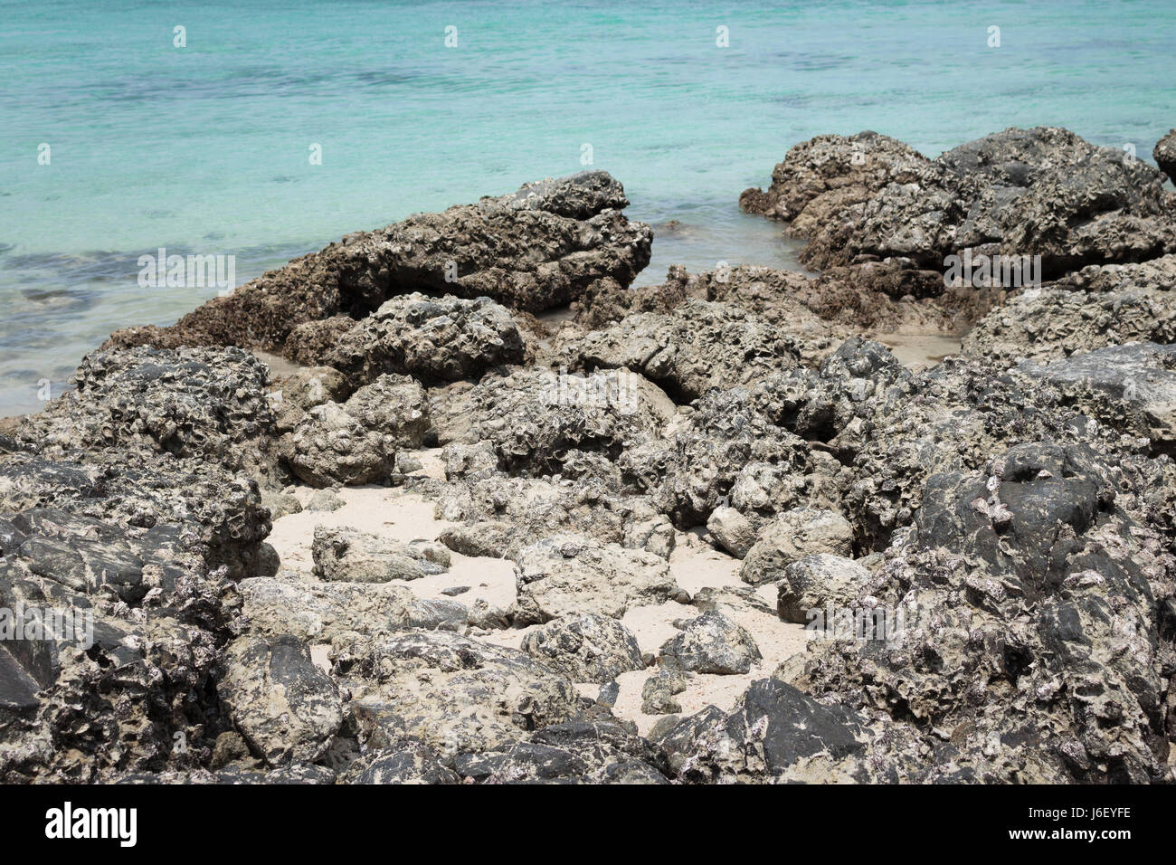 Rock on the beach with sea Stock Photo - Alamy