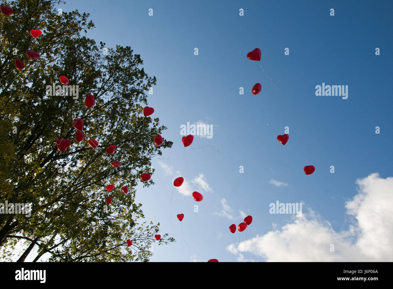 Restart a heart day hi-res stock photography and images - Alamy