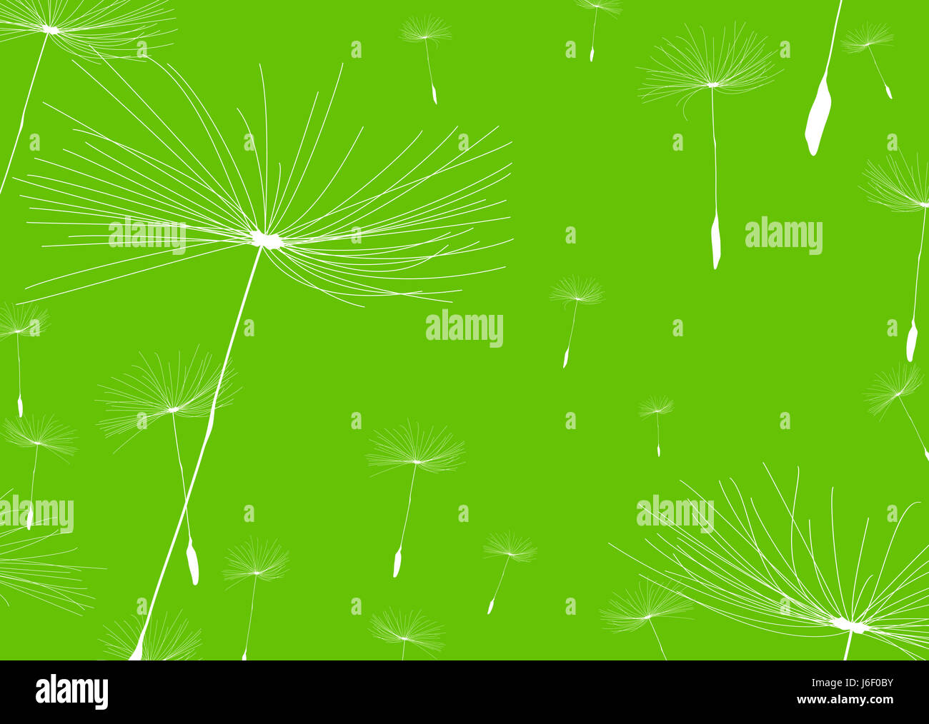 botany float dandelion delicate silhouette biology backdrop background ...