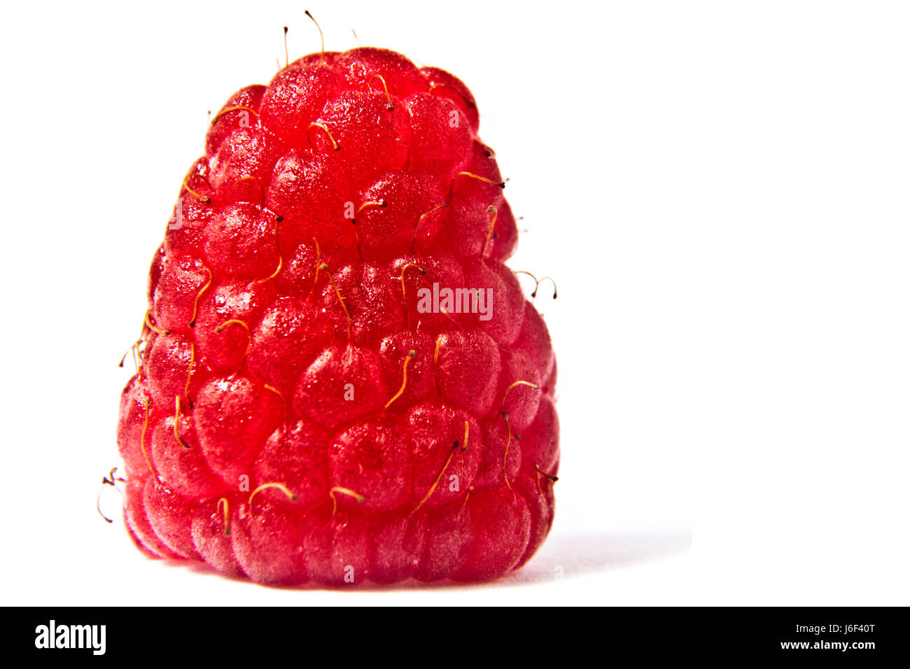 single one raspberry backdrop background white food aliment leaf health ...