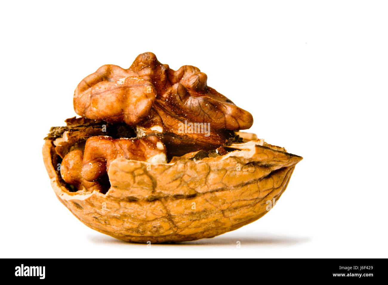 single shell open one walnut uncap backdrop background white food ...