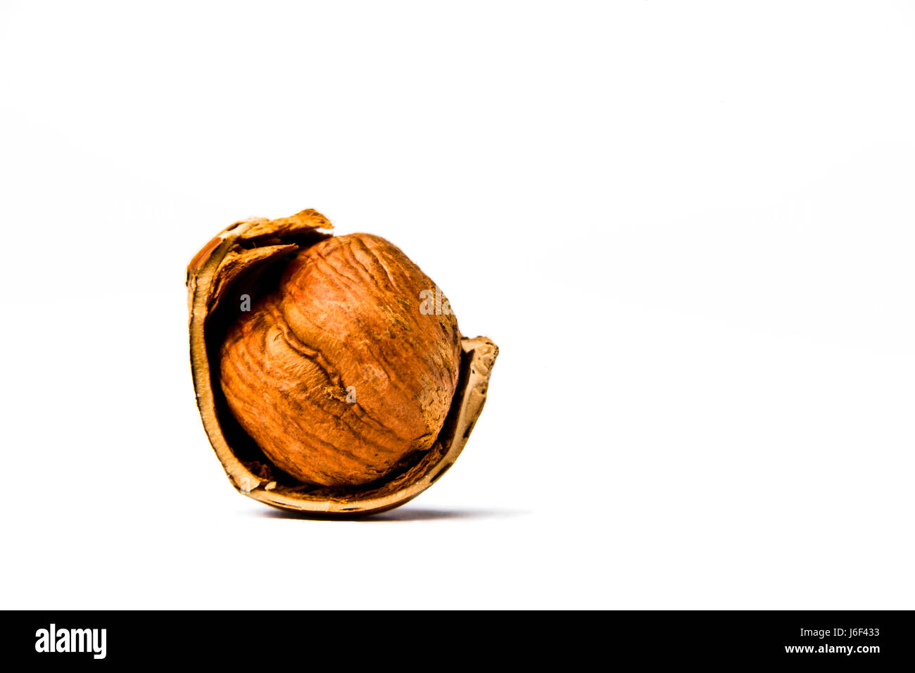 shell nut filbert hazelnut backdrop background white close food aliment ...