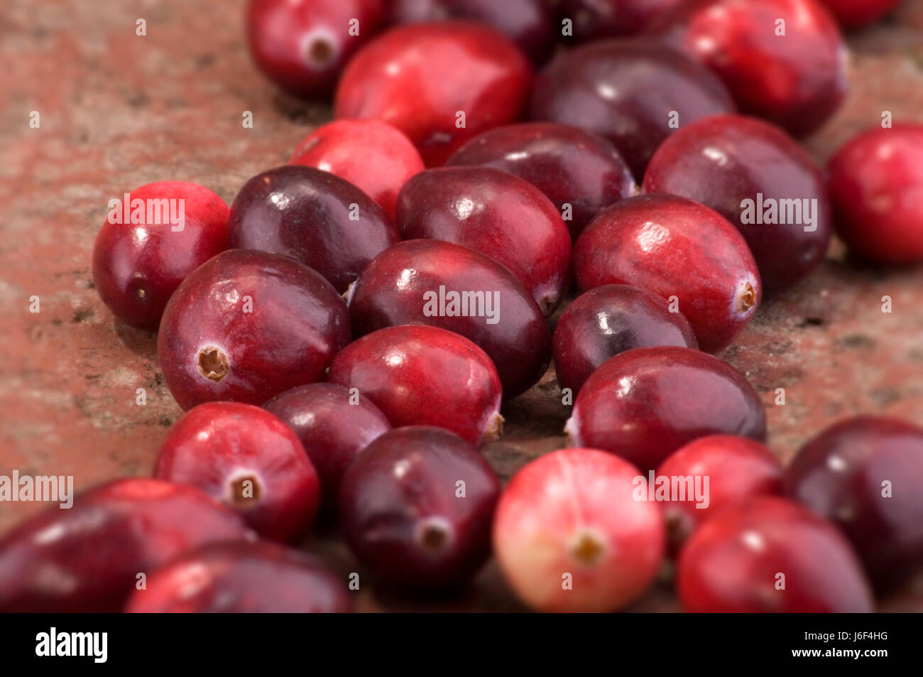 Granberies hi-res stock photography and images - Alamy