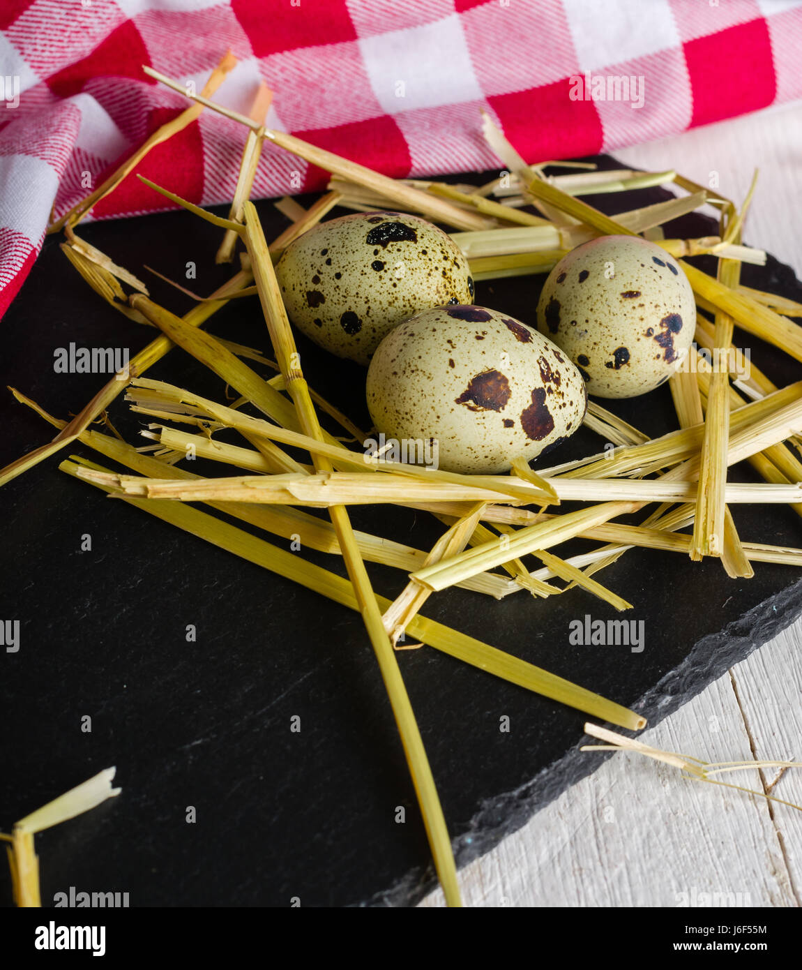 Egg shell structure hi-res stock photography and images - Alamy