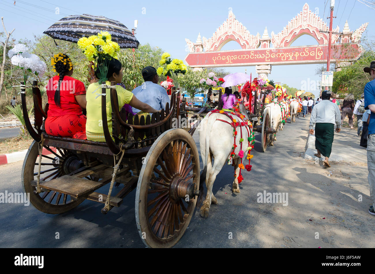Bullock carts in festival to celebrate children becoming monks, Bagan ...