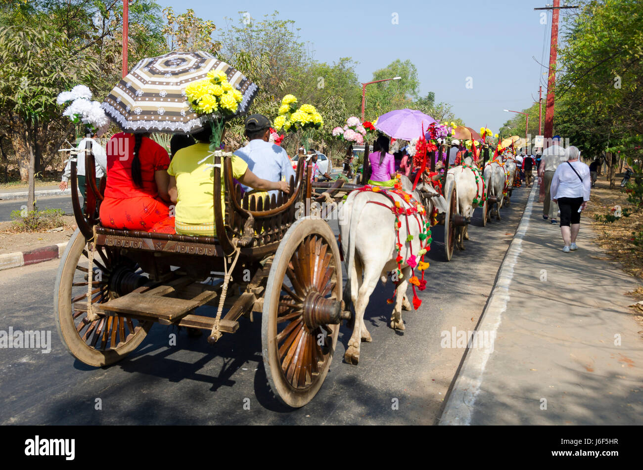 Bullock carts in festival to celebrate children becoming monks, Bagan ...