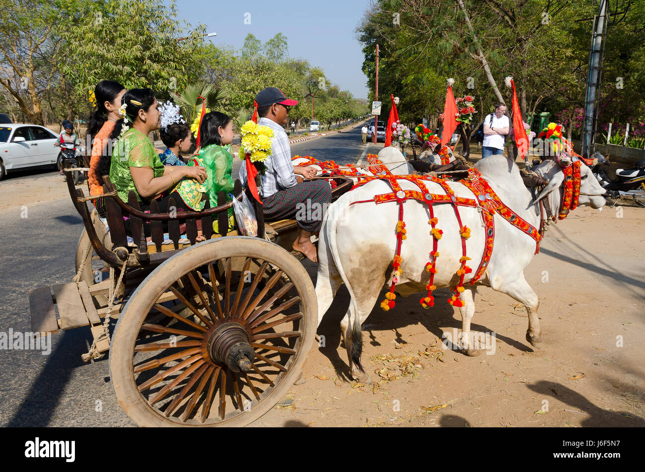 Bagan bullock cart hi-res stock photography and images - Alamy