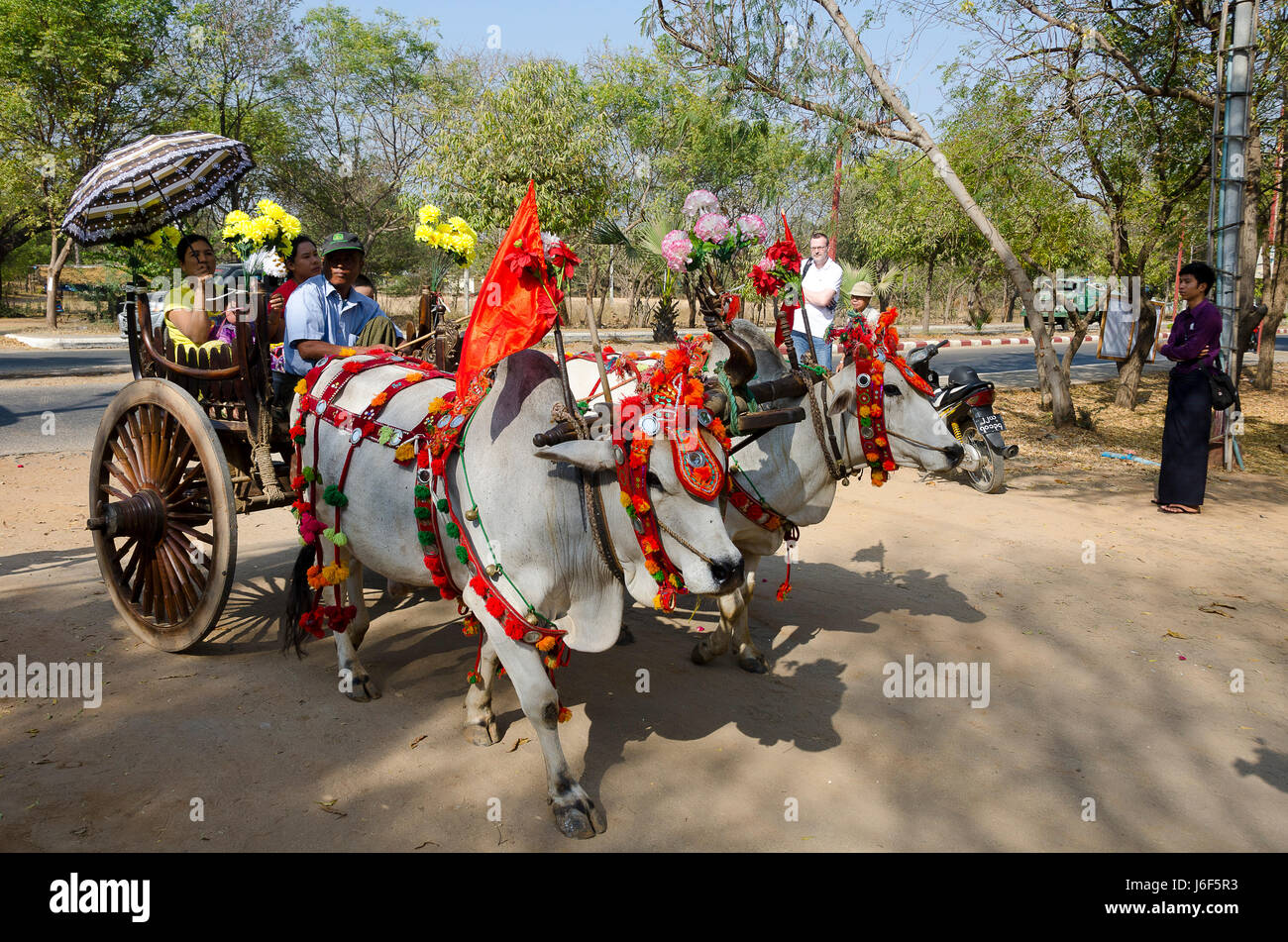 Bullock carts hi-res stock photography and images - Alamy