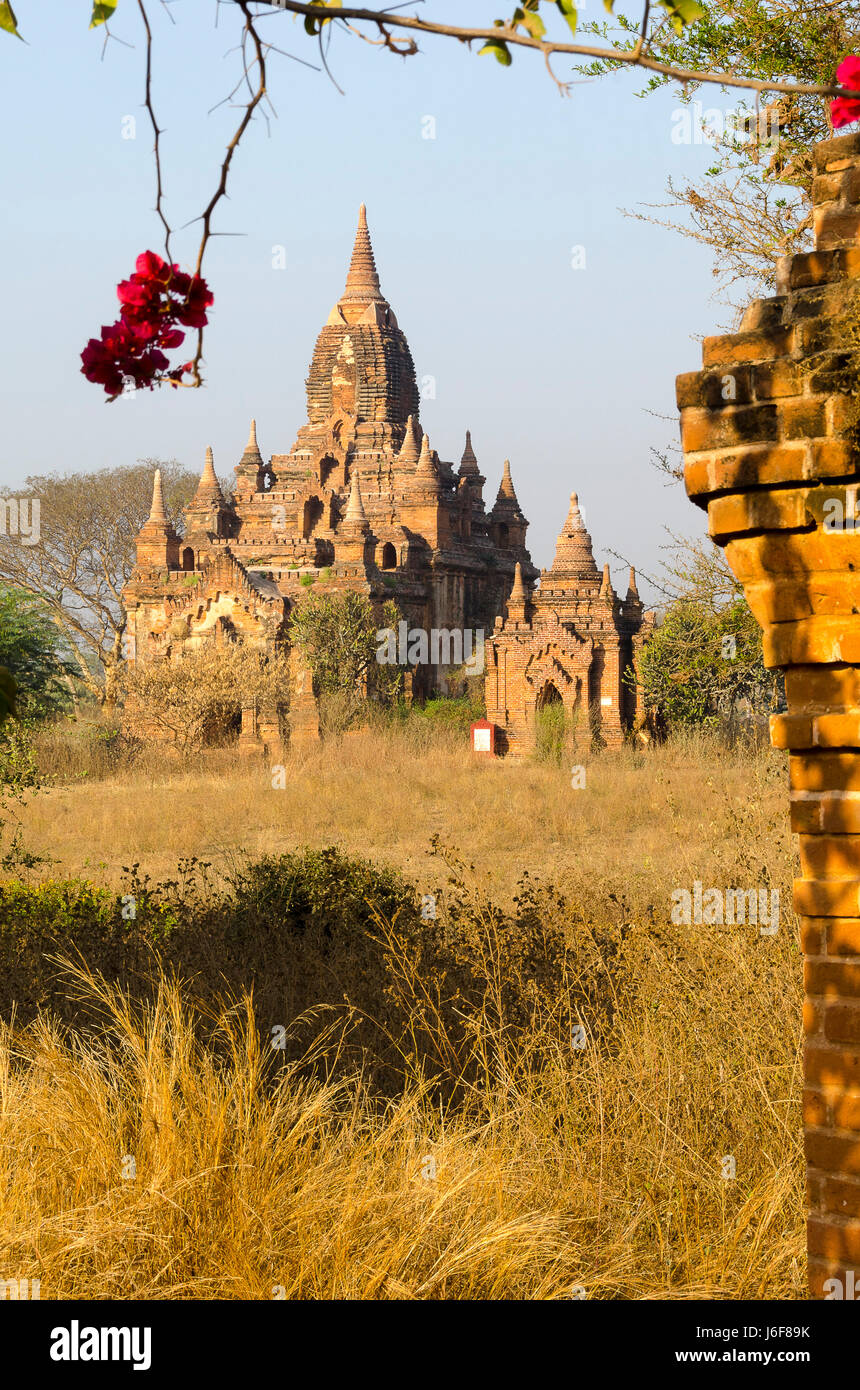 Temple at dawn, Bagan, Myanmar Stock Photo - Alamy