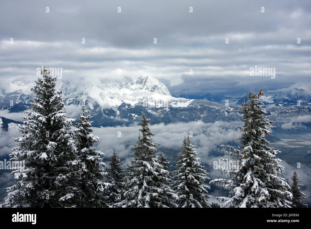 alps conifer snowcapped snow blue tree winter alps austrians sunbeams ...