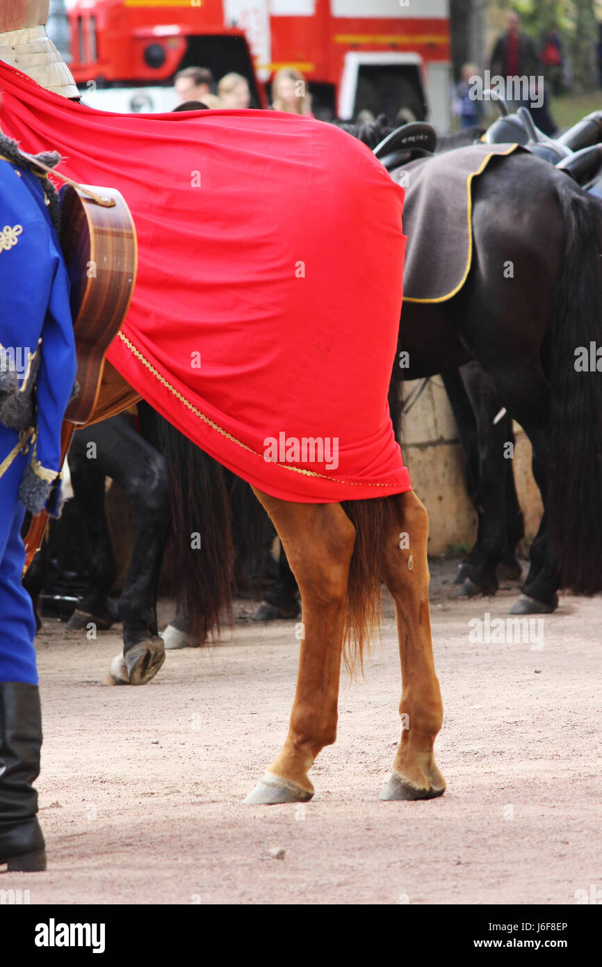 Croup Stock Photos & Croup Stock Images - Alamy