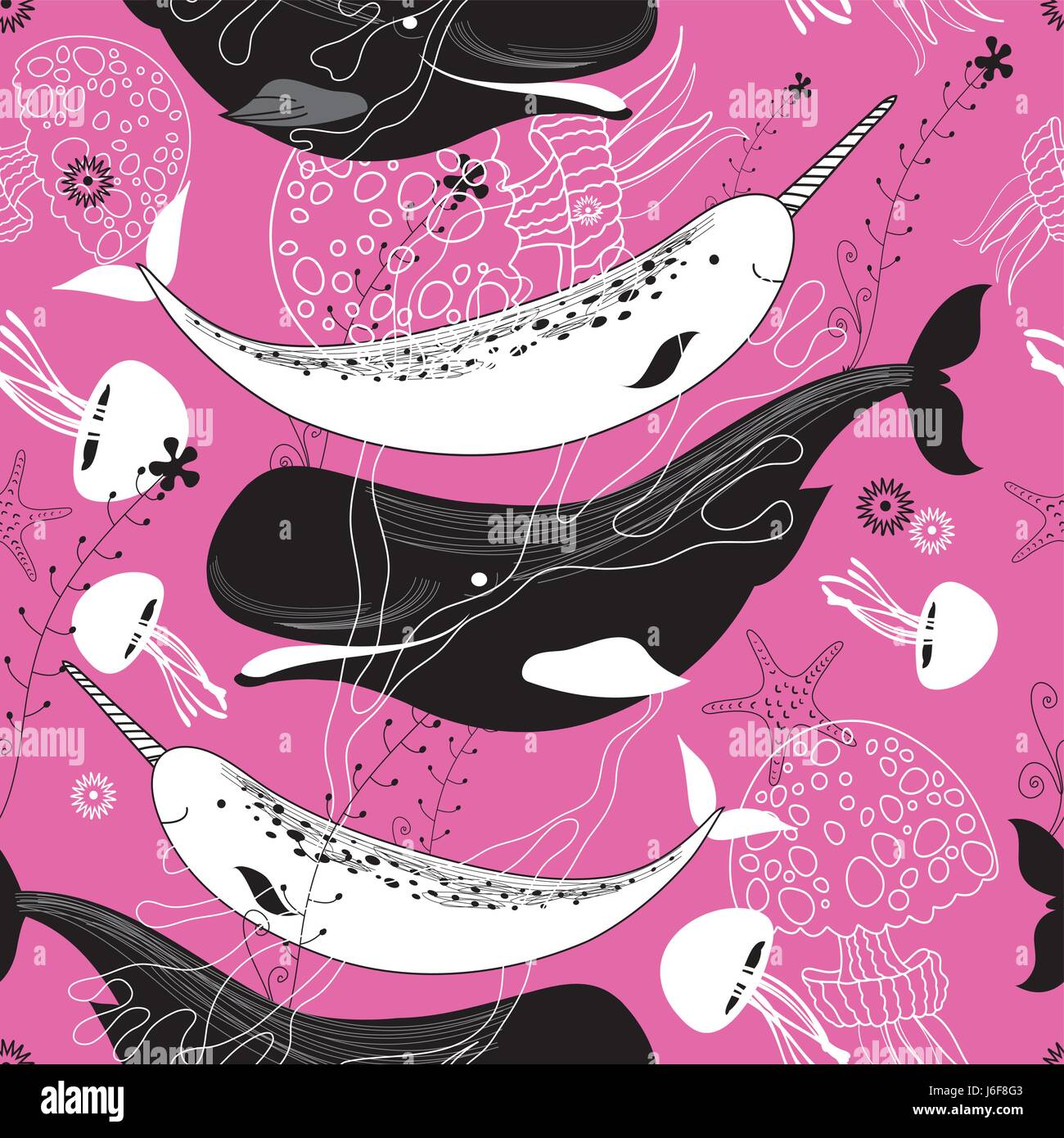 Narwhals hi-res stock photography and images - Alamy