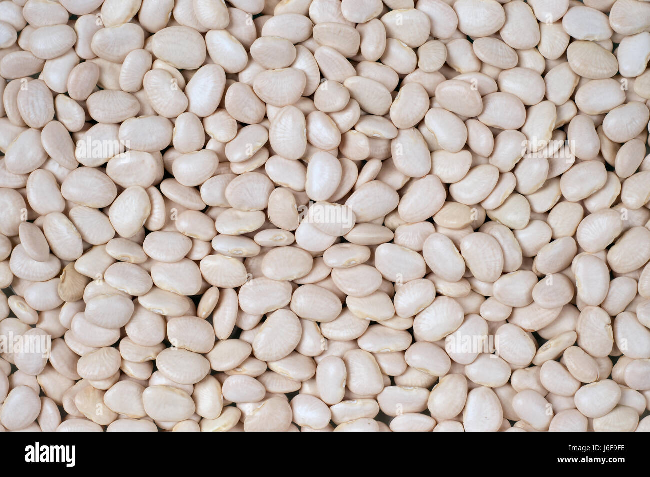 Limabohnen hi-res stock photography and images - Alamy