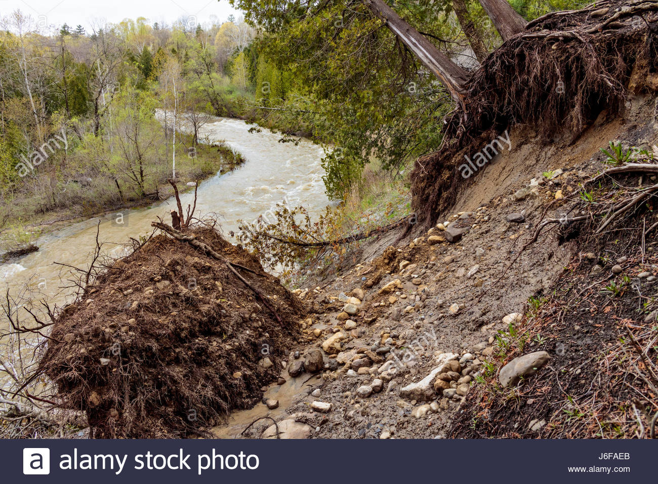 Spring Bank Park High Resolution Stock Photography and Images - Alamy