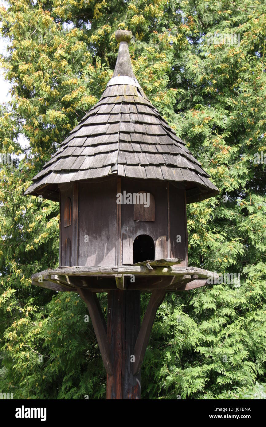 birdhouse in closeup Stock Photo - Alamy