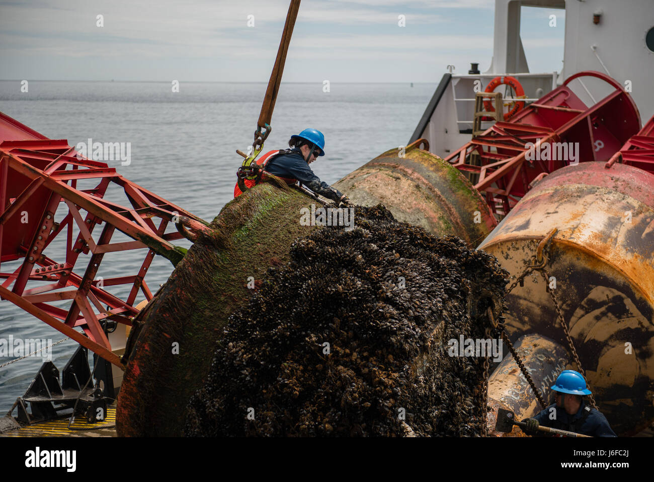 Coast guard cutter oak hi-res stock photography and images - Alamy