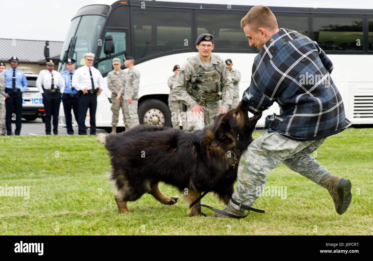 Senior Airman David Bischoff, 436th Security Forces Squadron Military ...