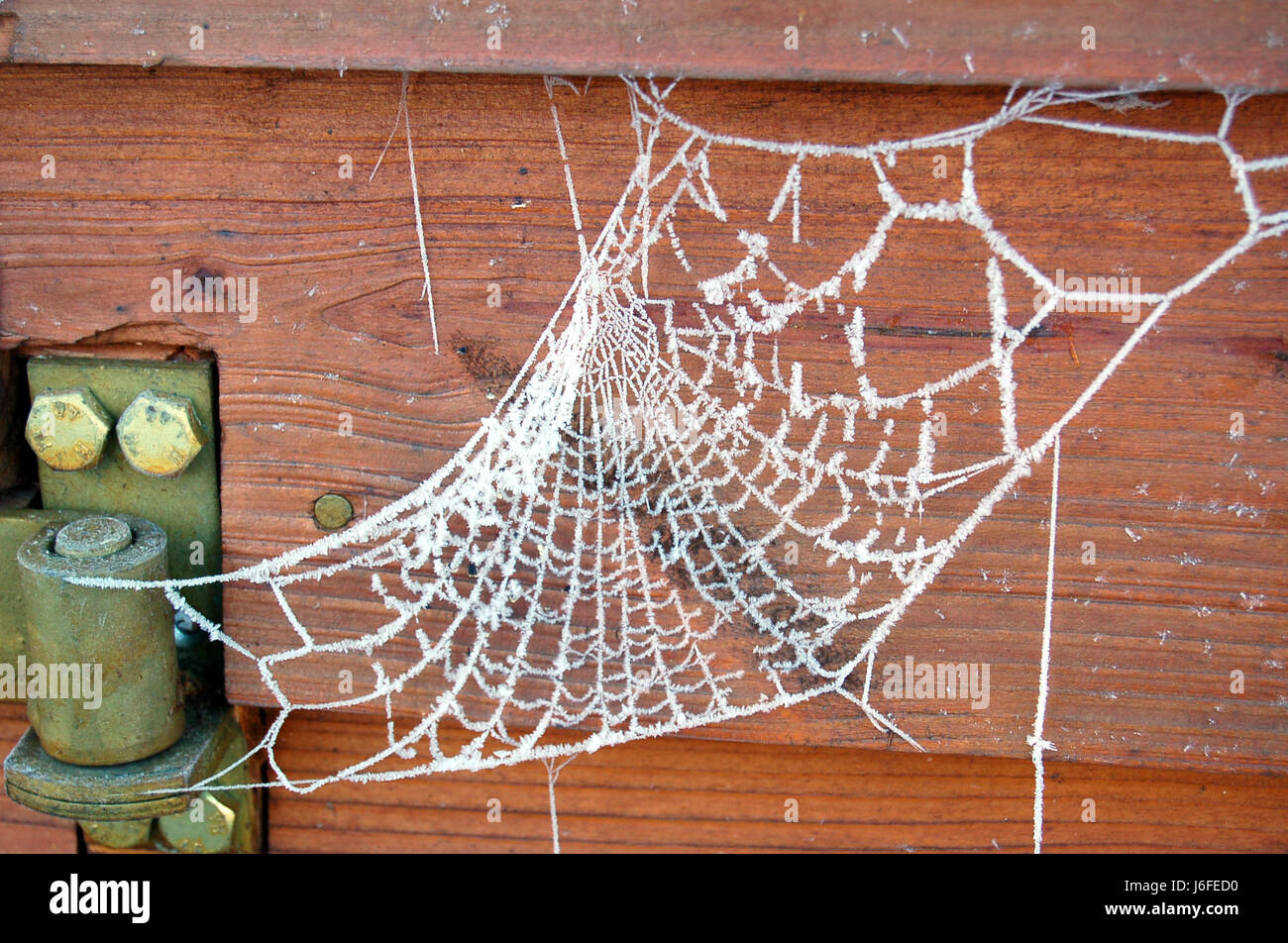 spider web on the rocks ii Stock Photo - Alamy
