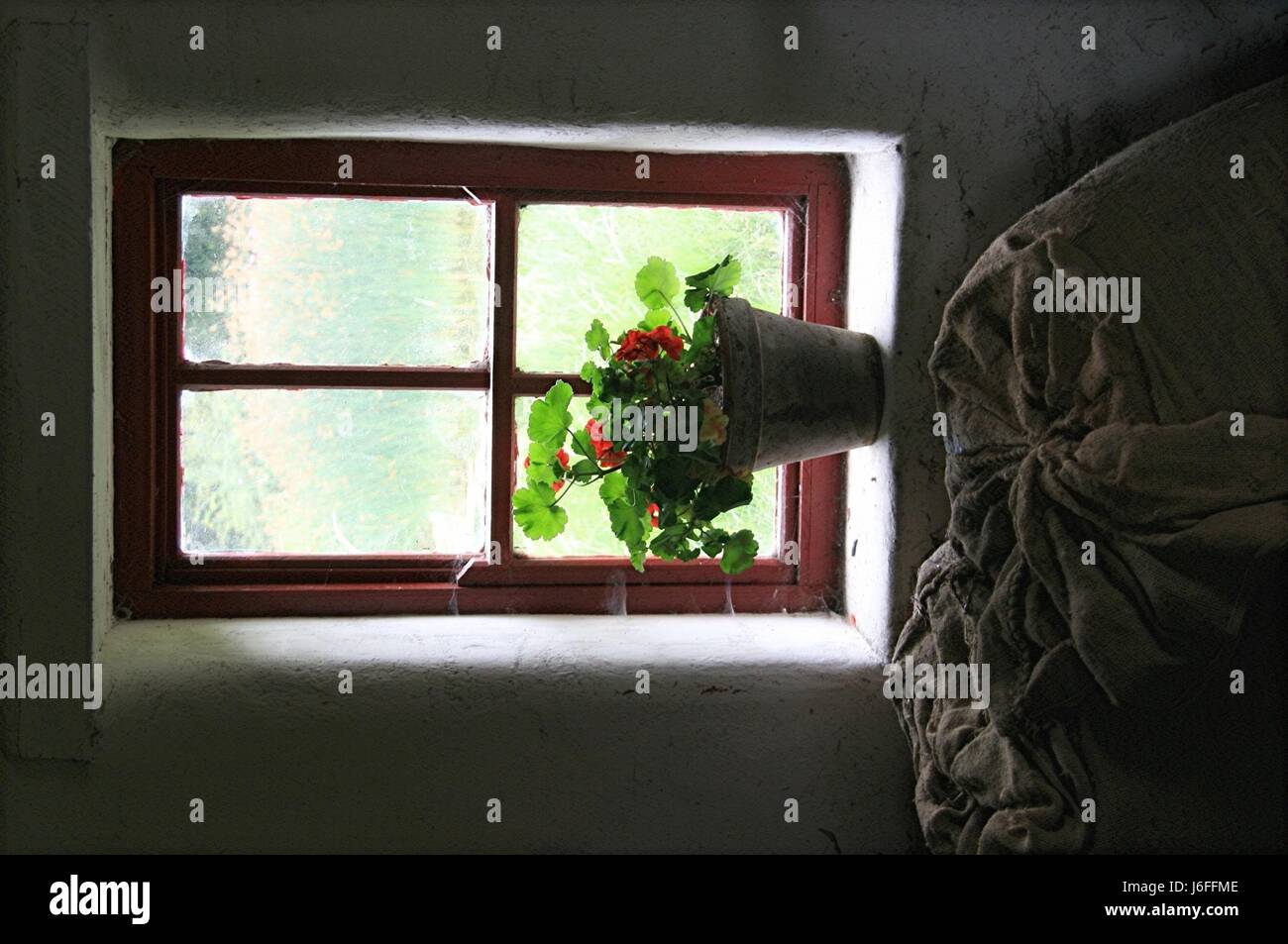 looking through window Stock Photo - Alamy