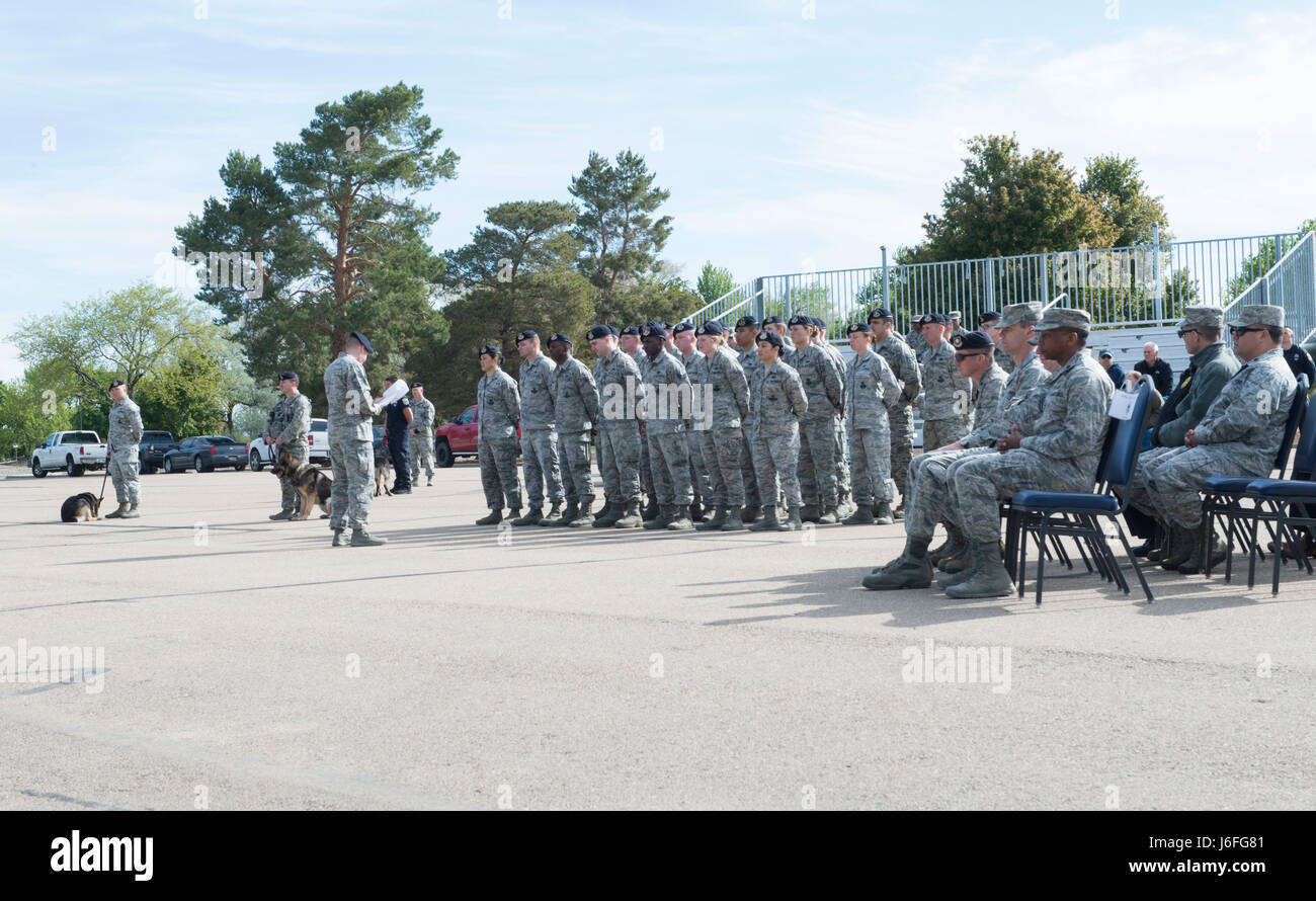 Guest watch as 366th Security Forces Defenders stand in formation ...