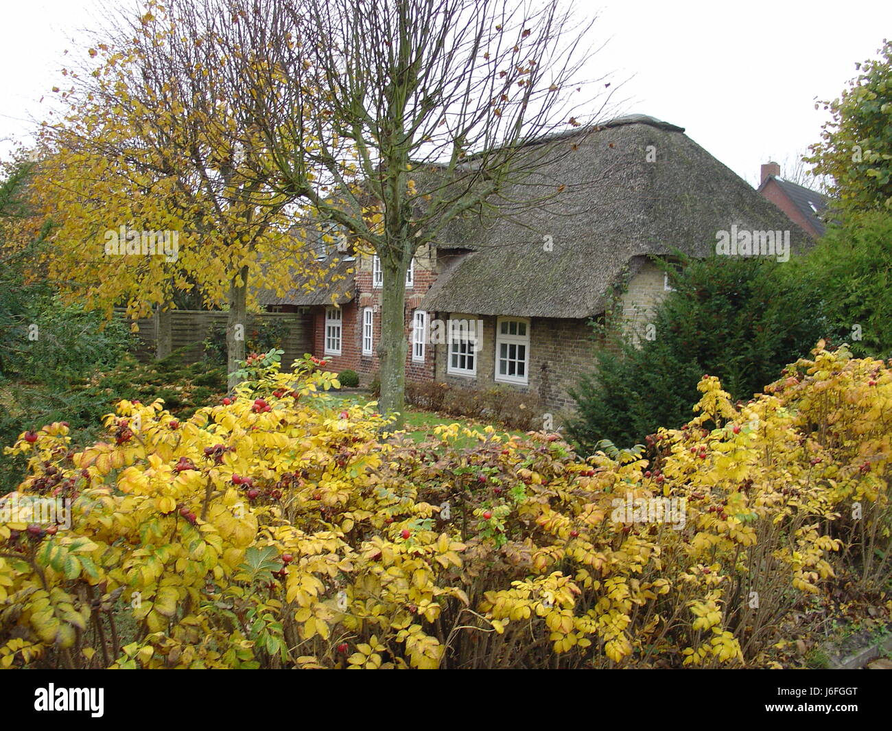 Haus mit reetdach hi-res stock photography and images - Alamy